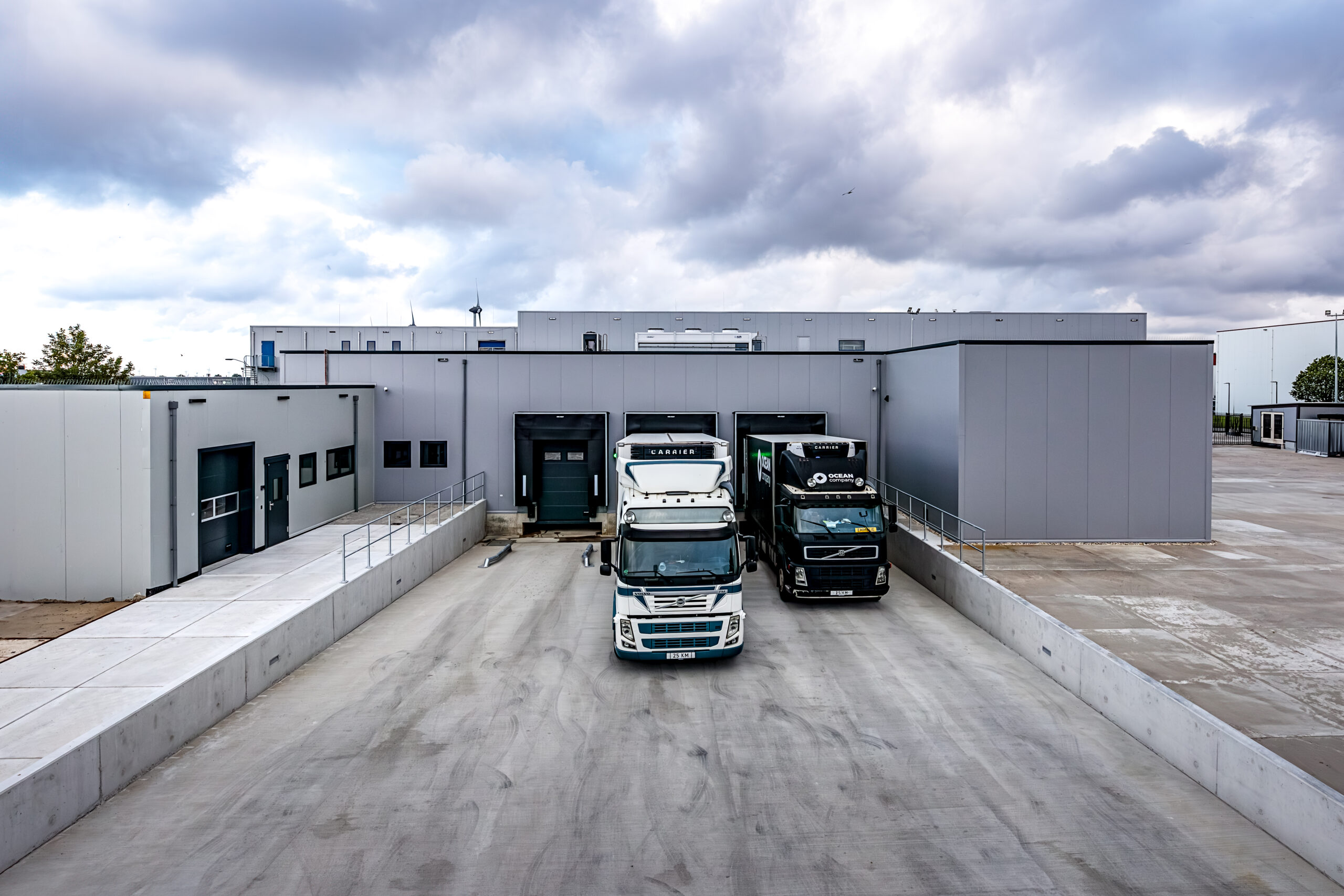 Ocean Company - DBBO